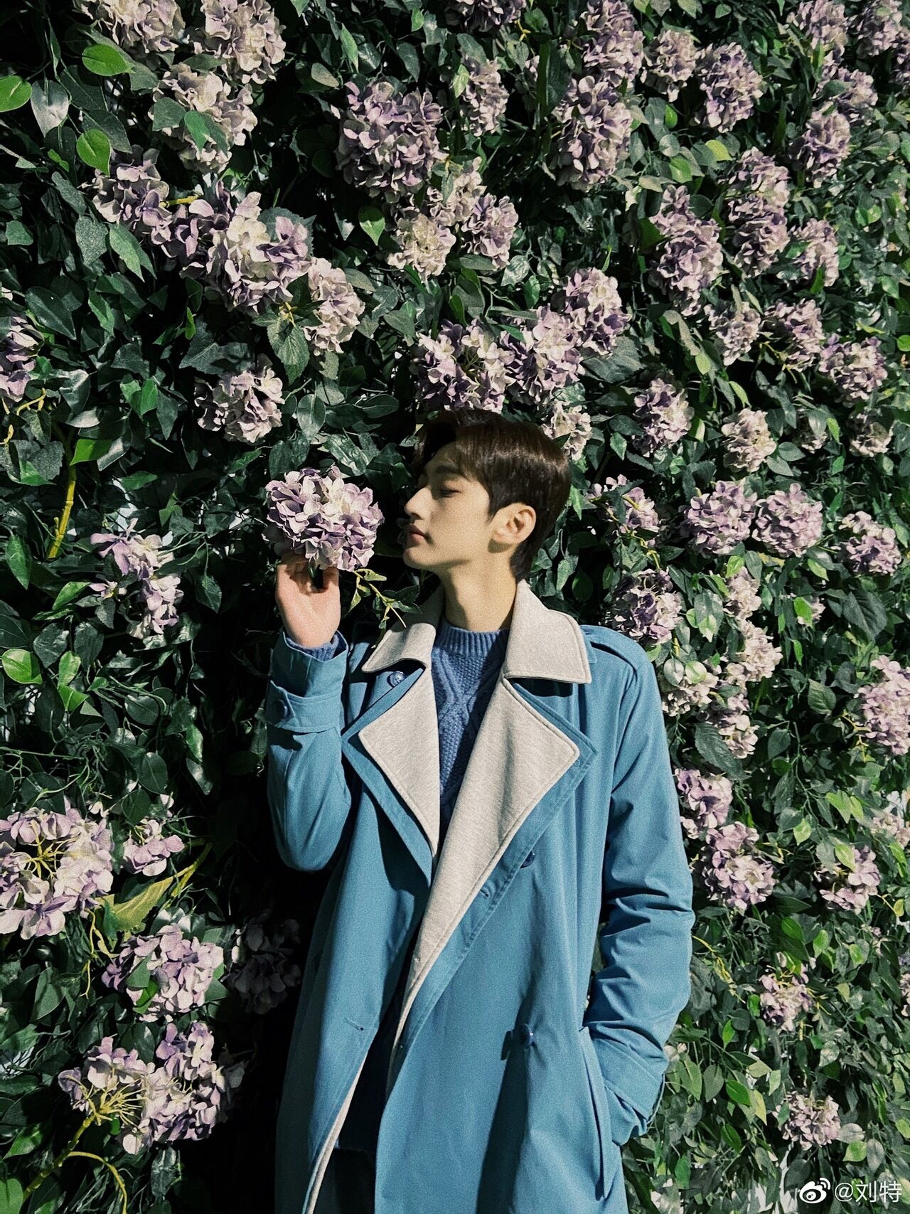 Liu Te Photo, HD Image, Wallpaper - CPOP HOME