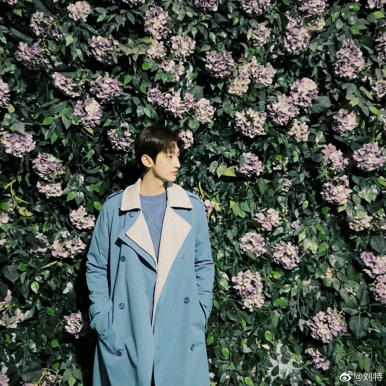 Liu Te Photo - CPOP HOME