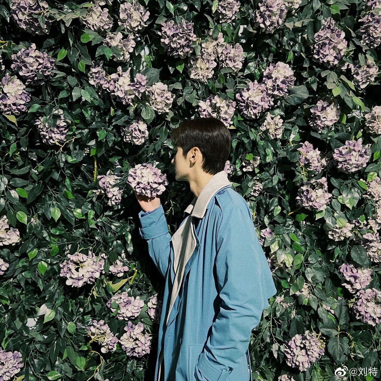 Liu Te Photo, HD Image, Wallpaper - CPOP HOME